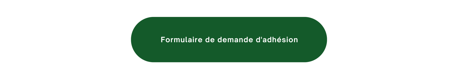 Qui sommes-nous ? Découvrez l'équipe de l'AVEM